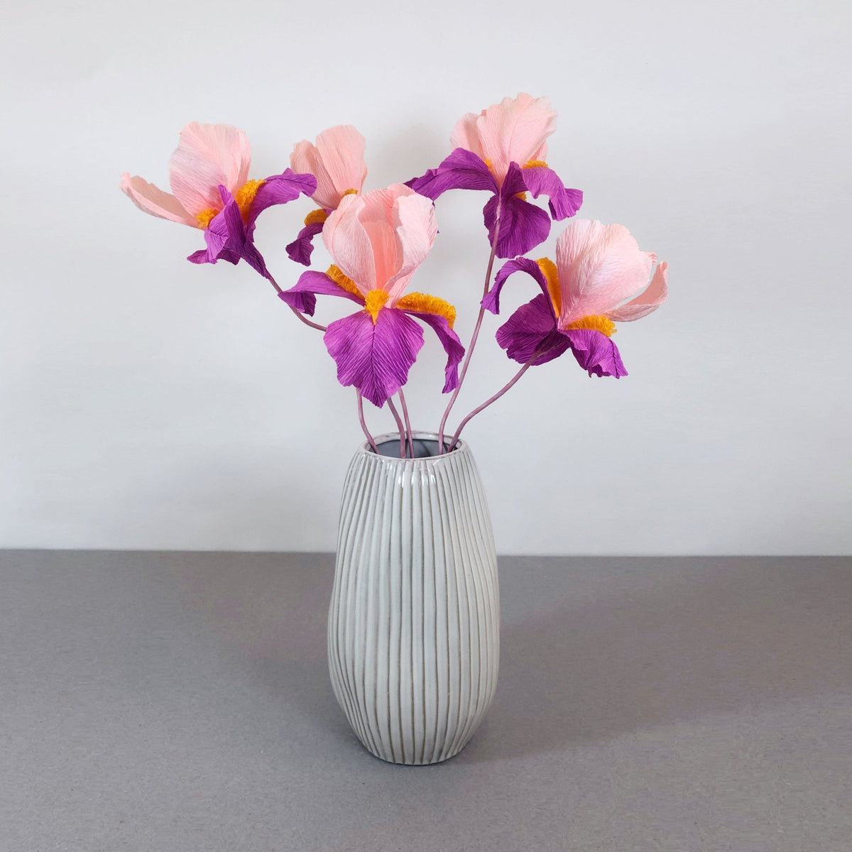 Bearded Iris flower – Brazen Botany