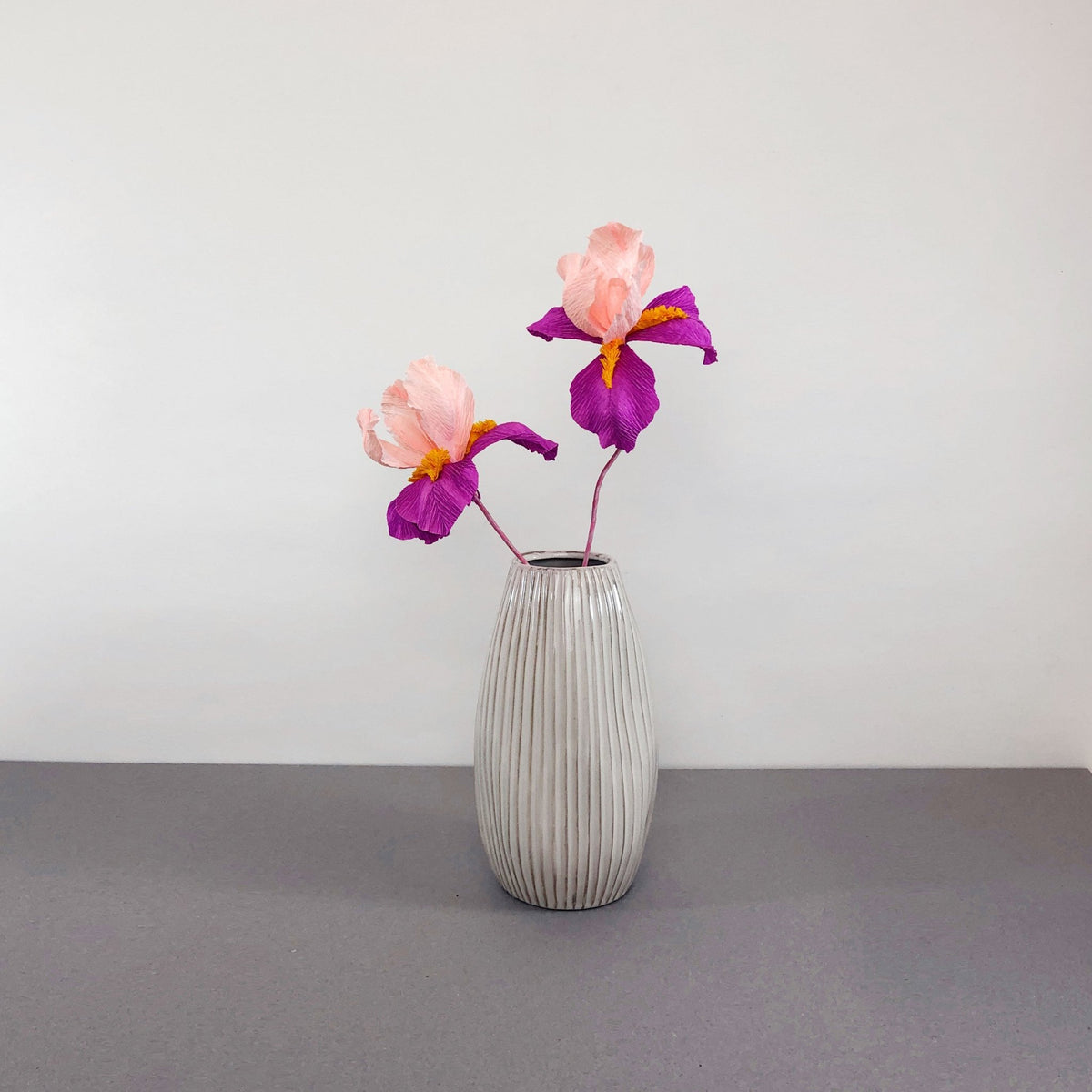 Bearded Iris flower – Brazen Botany