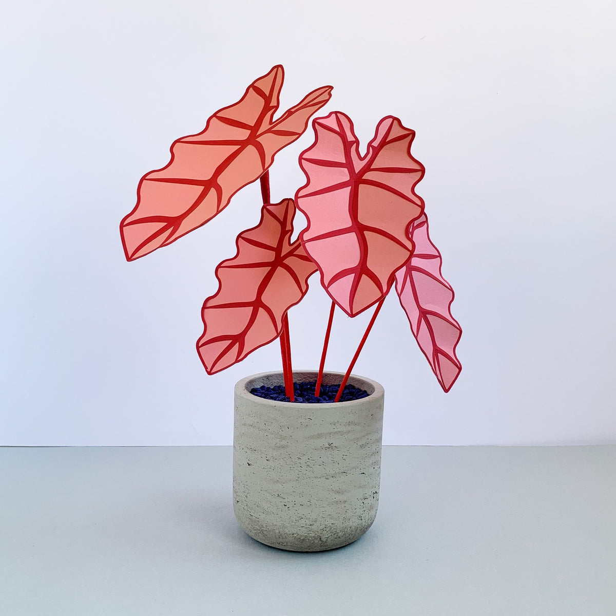 Pink Elephant's Ear Plant | Handmade Plant | Brazen Botany